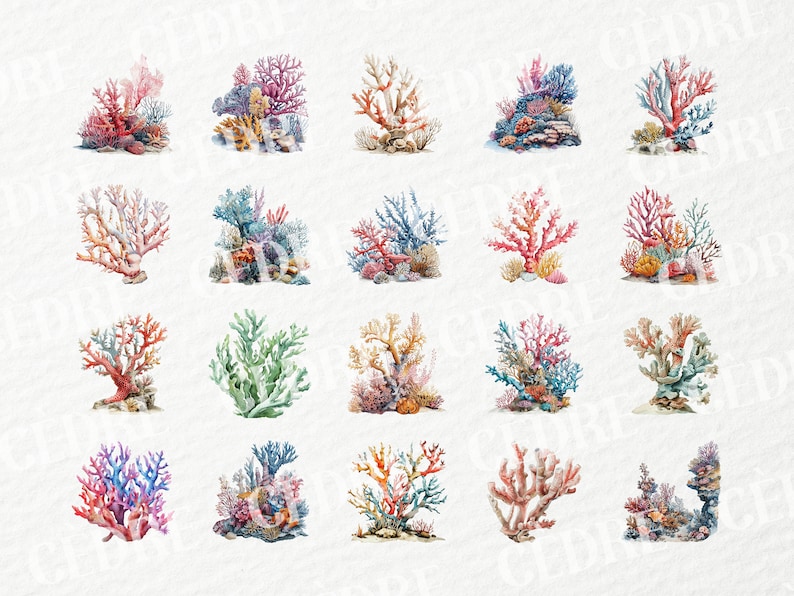 Watercolor Sea Coral Clipart, Coastal Ocean Coral Clipart, Marine Coral ...