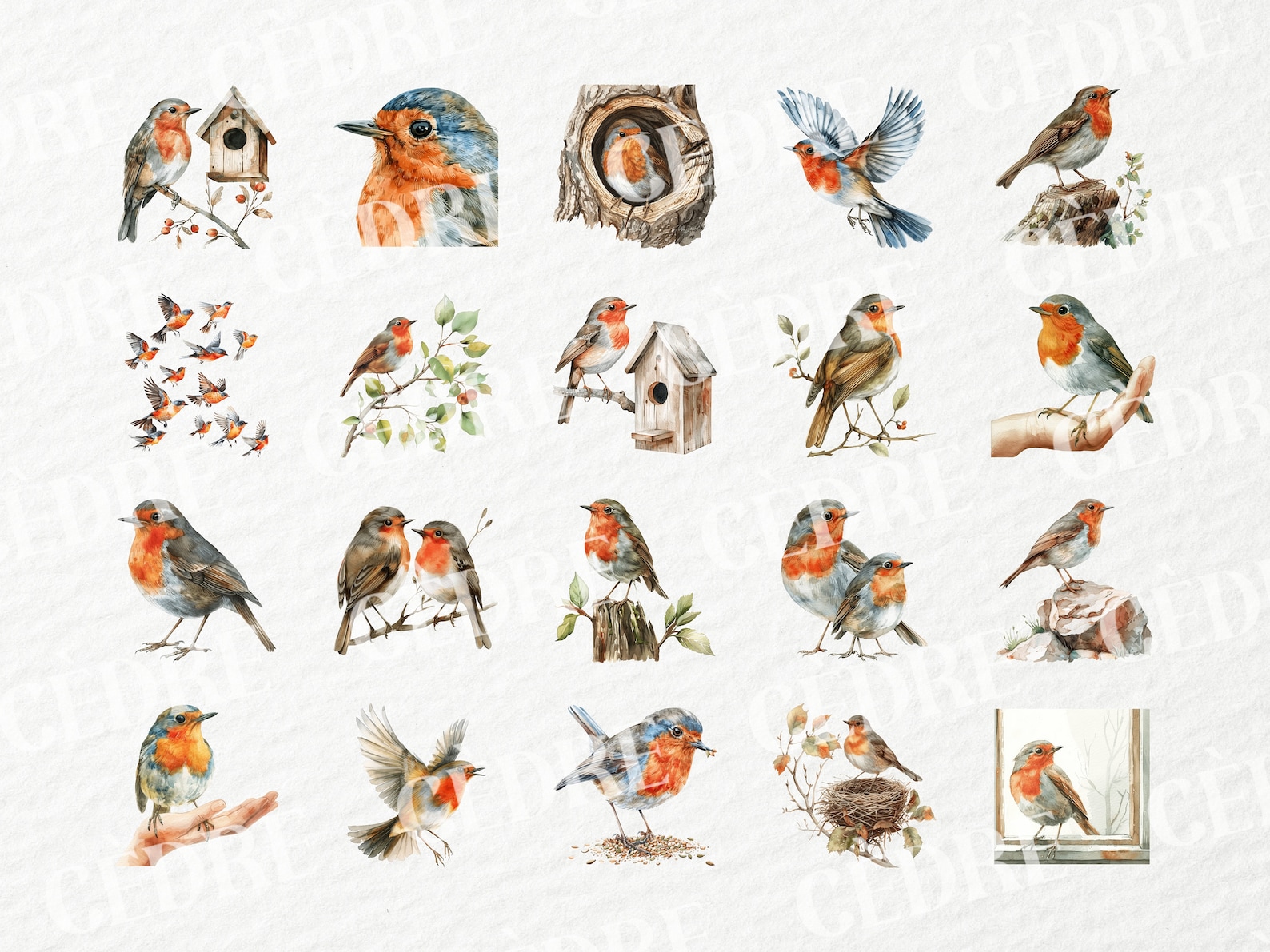 Watercolor Robin Clipart, Flying Robin Birds Clipart, Chirping Robin ...
