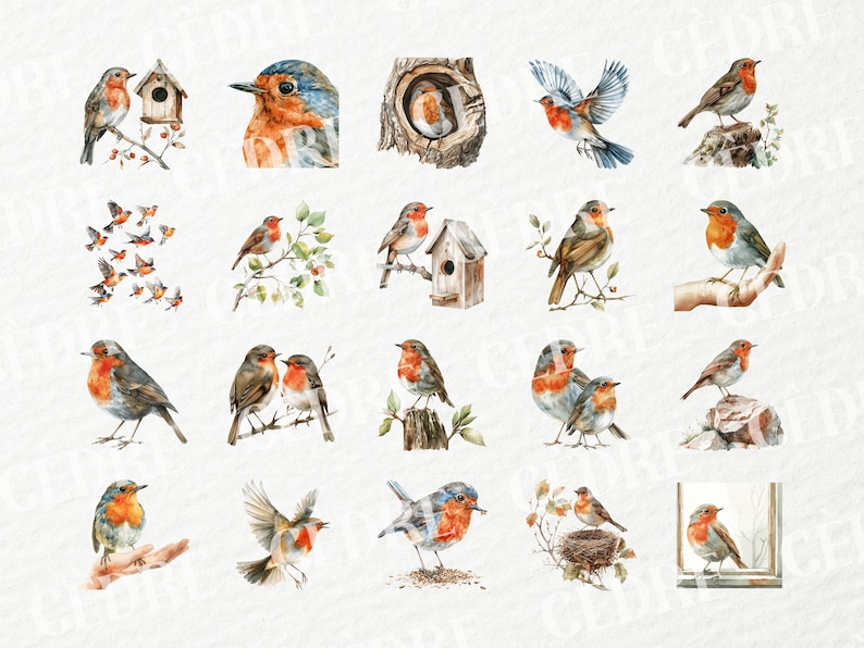 Watercolor Robin Clipart, Flying Robin Birds Clipart, Chirping Robin ...