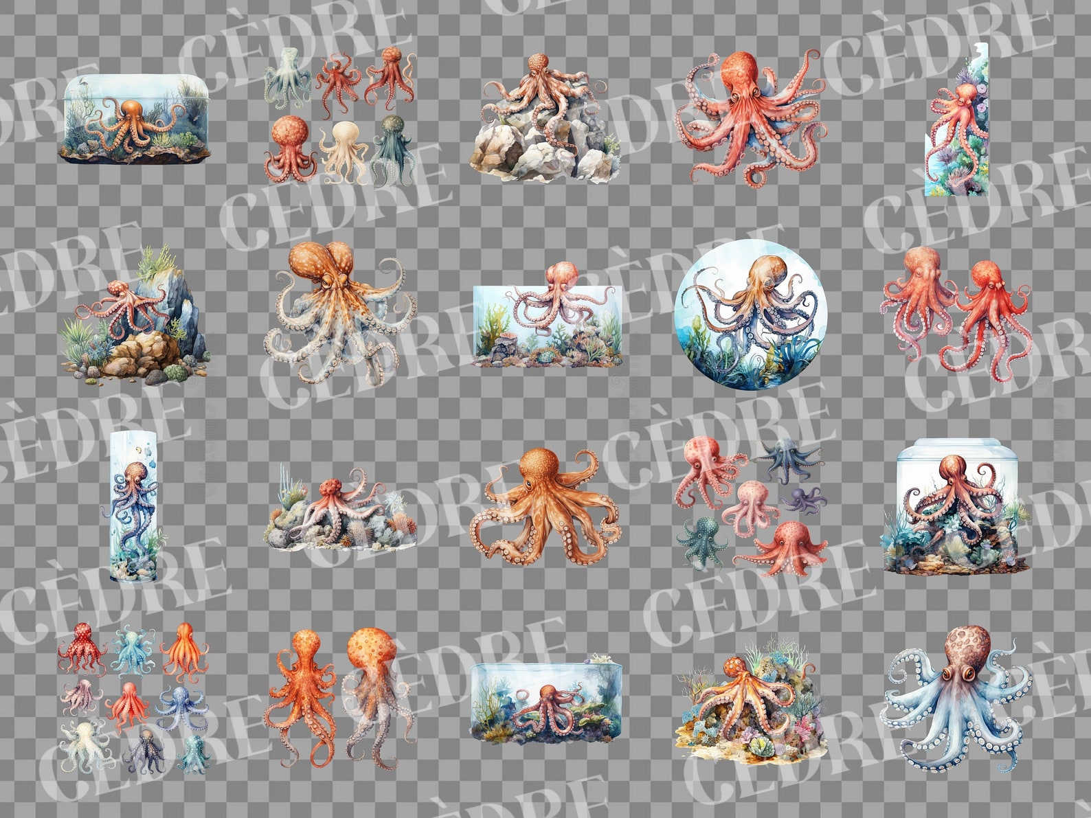 Watercolor Octopus Clipart, Sea Life Octopus Clipart, Under the Sea ...