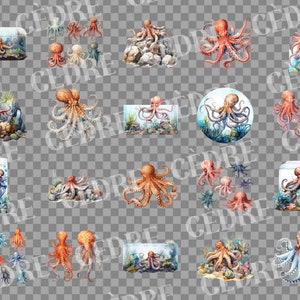 Watercolor Octopus Clipart, Sea Life Octopus Clipart, Under the Sea ...