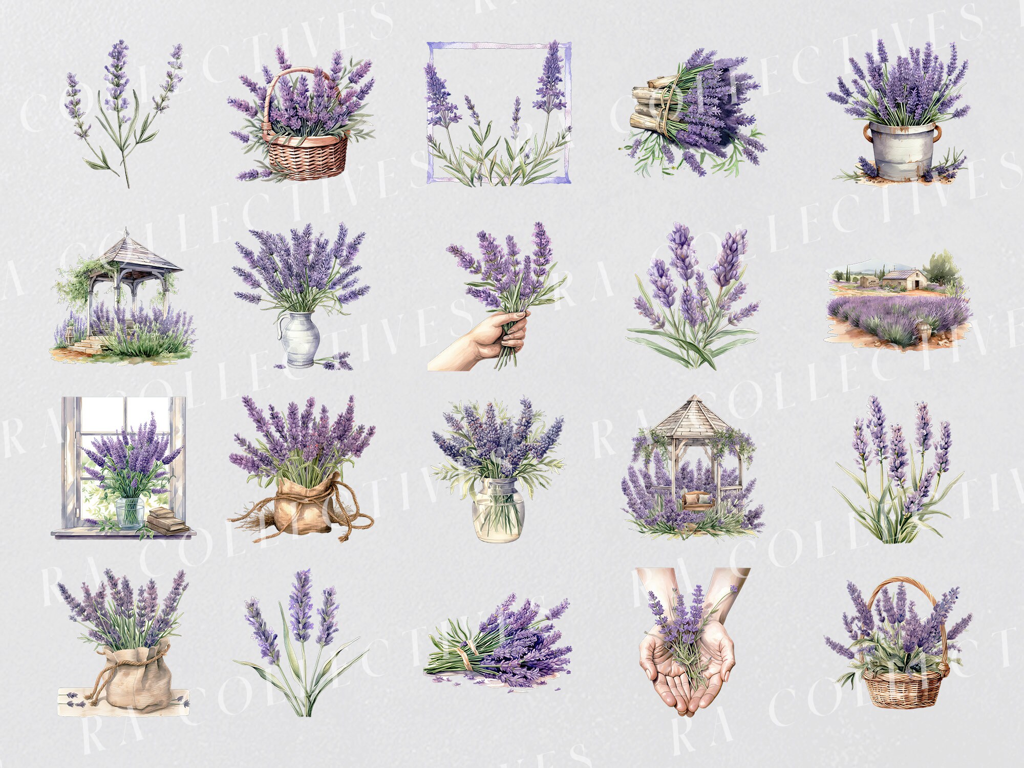 Watercolor Lavender Clipart Floral Lavender Feild Clipart - Etsy