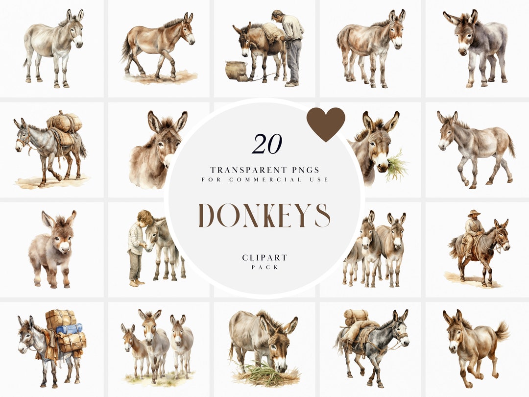 Watercolor Donkey Clipart, Donkeys Clipart, Happy Funny Donkey Clipart, Pet Baby Farm Donkey ...