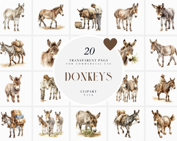 12 Happy Donkeys Clipart, Donkey Clipart, JPG, Commercial Use,digital ...