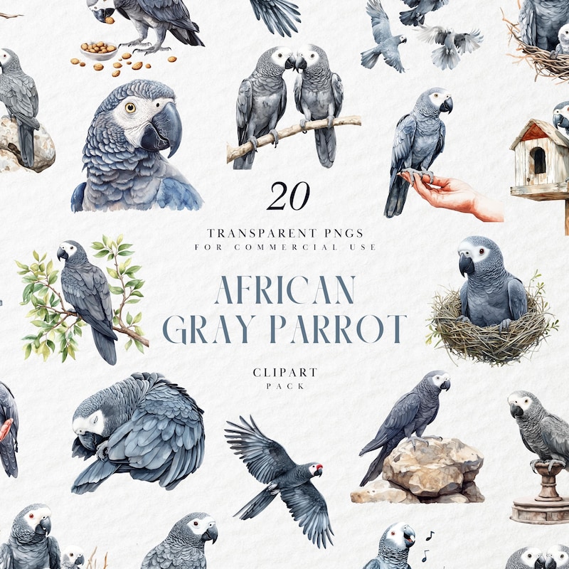 Christmas Parrot Clipart - Etsy UK