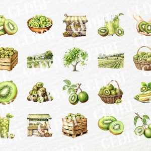 Watercolor Kiwi Clipart, Green Kiwi Fruit Clipart, Refreshing Summer ...