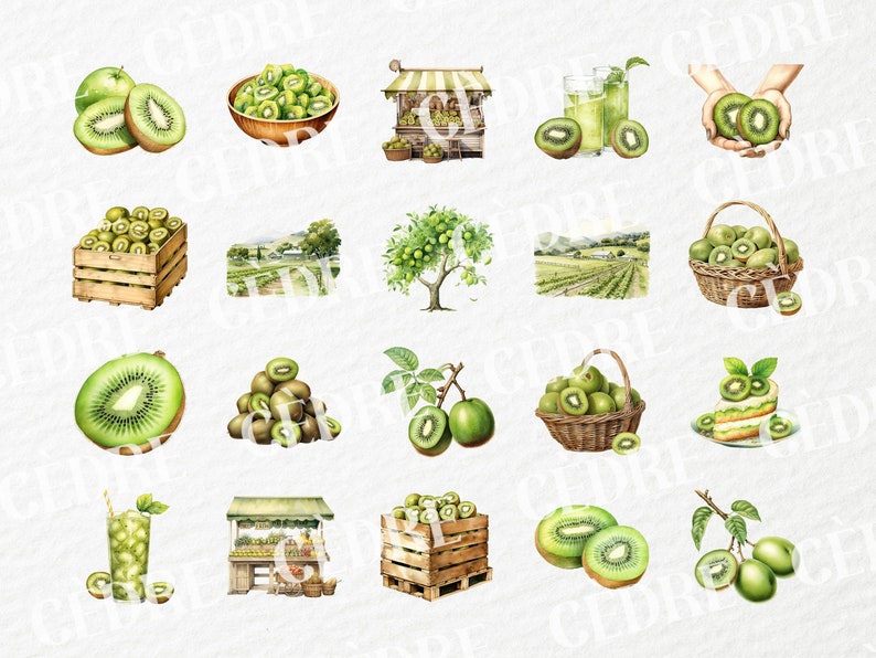 Watercolor Kiwi Clipart, Green Kiwi Fruit Clipart, Refreshing Summer ...