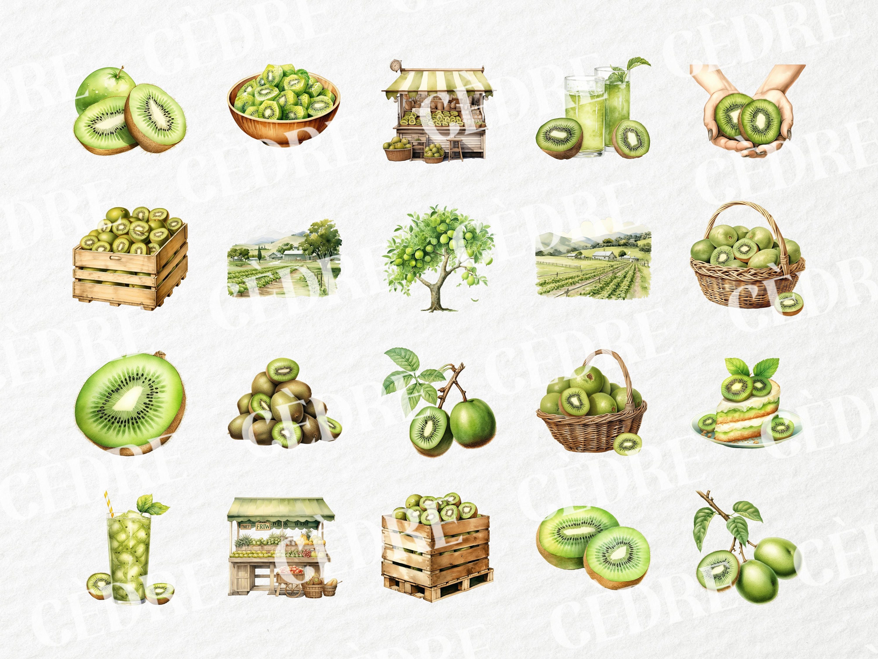 Watercolor Kiwi Clipart, Green Kiwi Fruit Clipart, Refreshing Summer ...