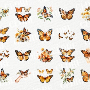 Watercolor Monarch Butterflies Clipart, Flying Monarch Butterfly ...