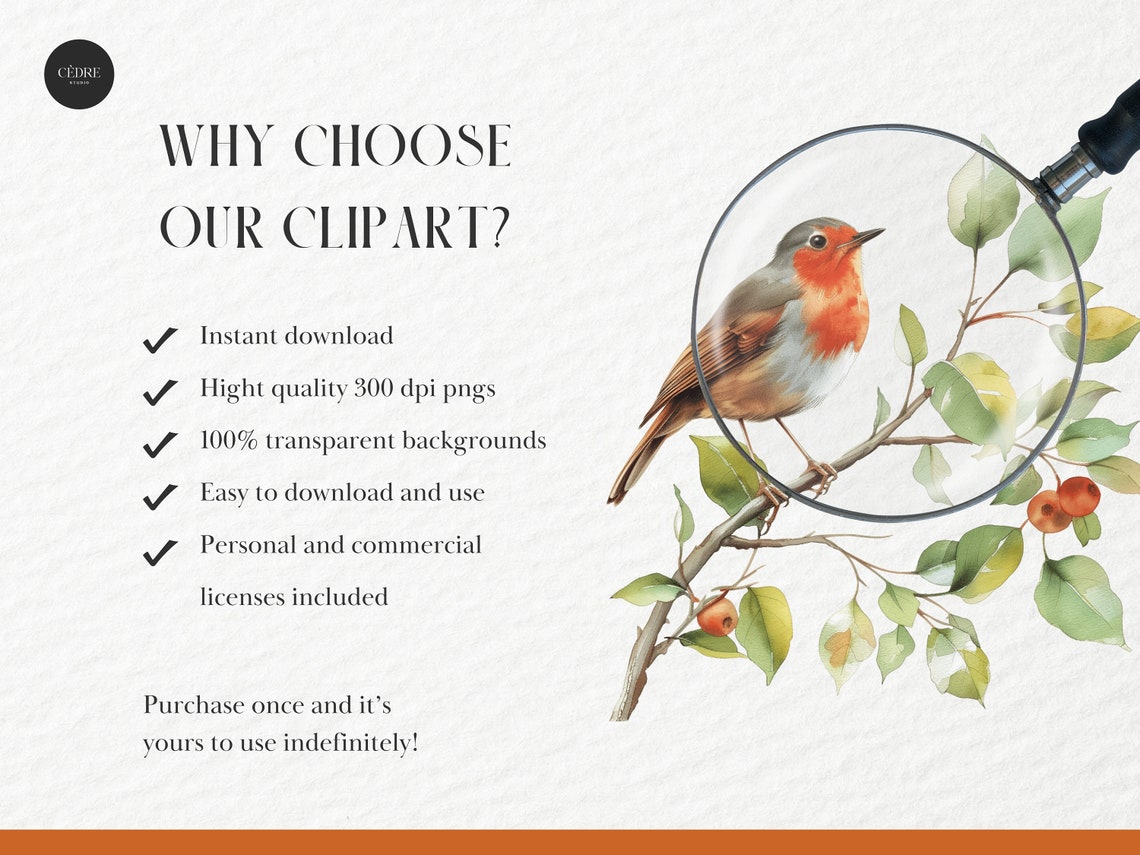 Watercolor Robin Clipart, Flying Robin Birds Clipart, Chirping Robin ...