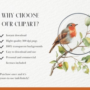 Watercolor Robin Clipart, Flying Robin Birds Clipart, Chirping Robin ...