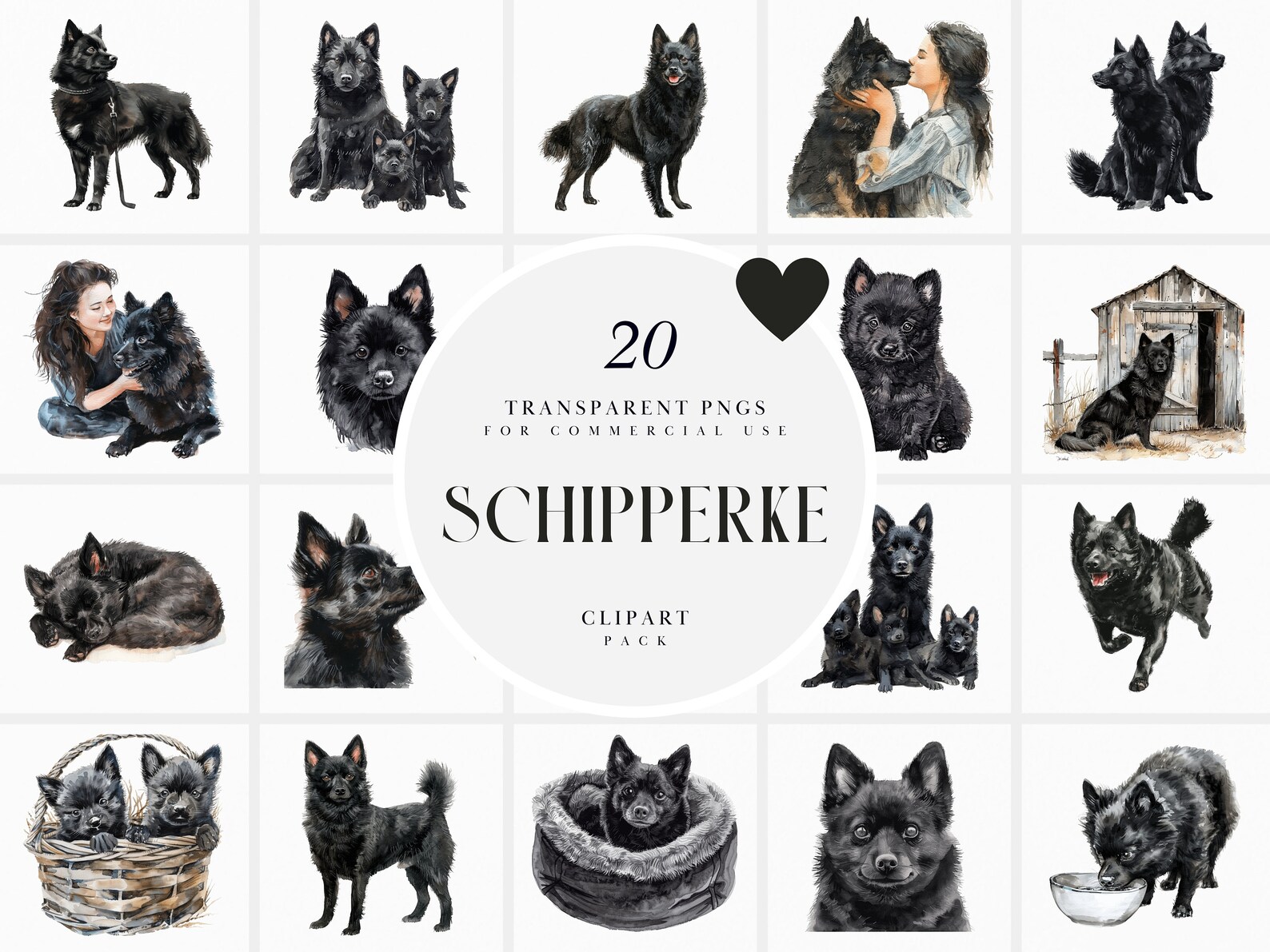 Watercolor Black Schipperke Clipart, Schipperkes Clipart, Puppies Dog ...