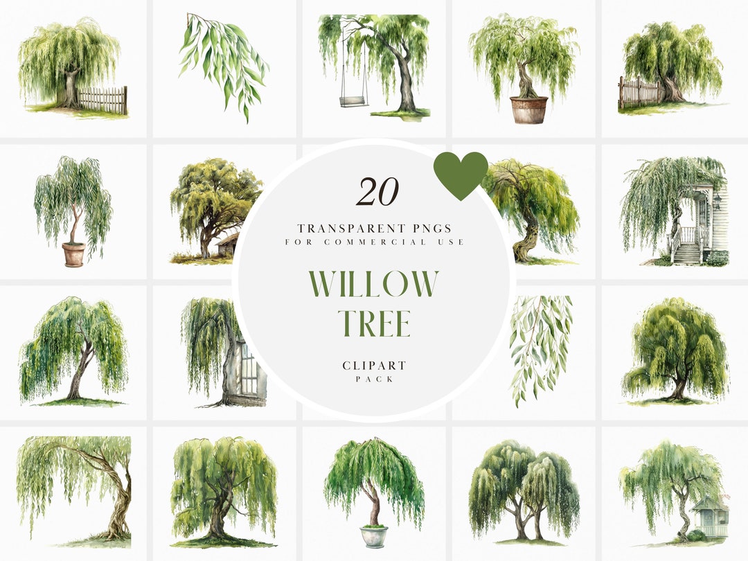Watercolor Willow Tree Clipart, Green Willow Trees Clipart, Wise Old ...