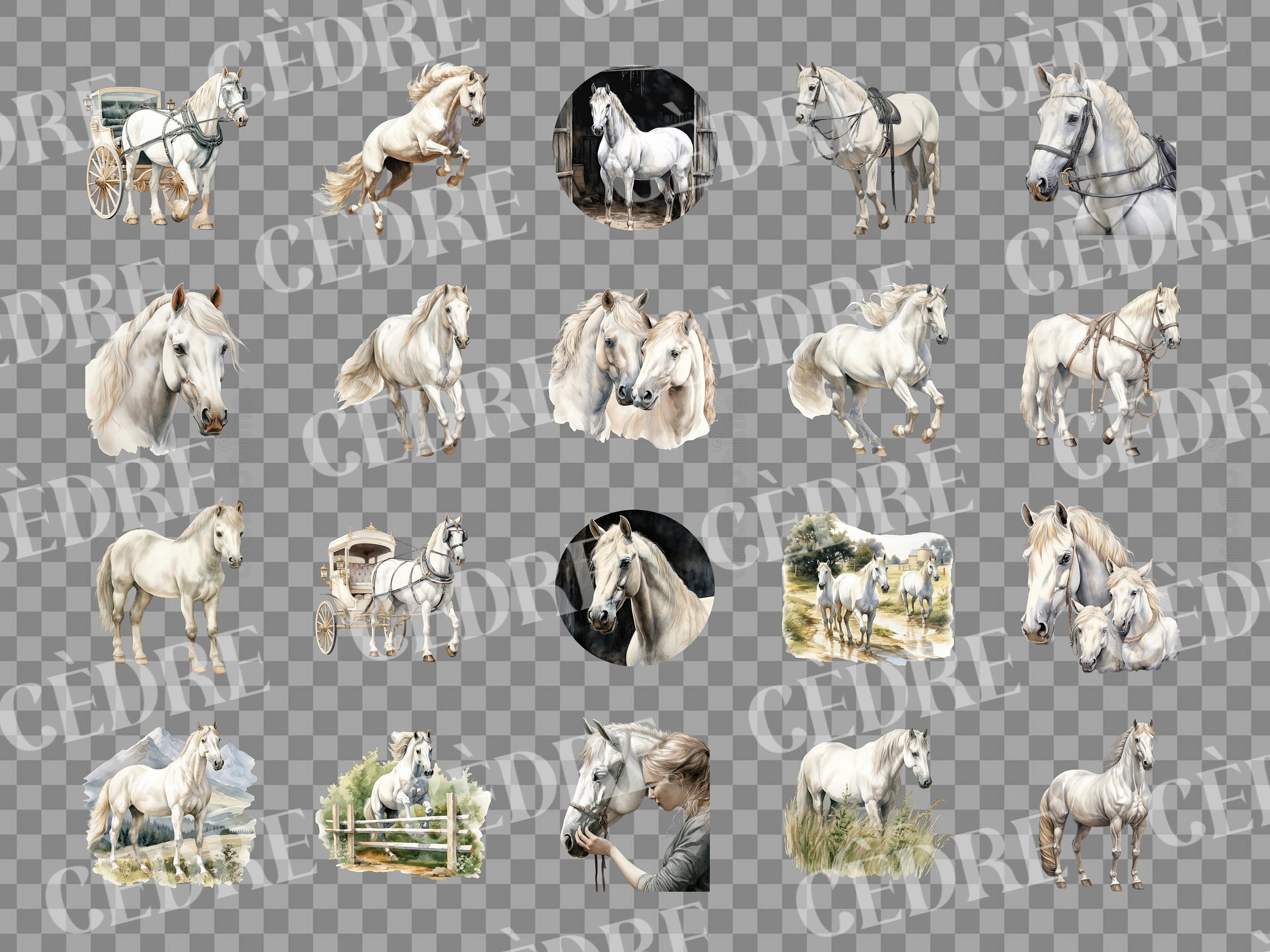 Watercolor White Horse Clipart, White Horses Clipart, White Pony ...