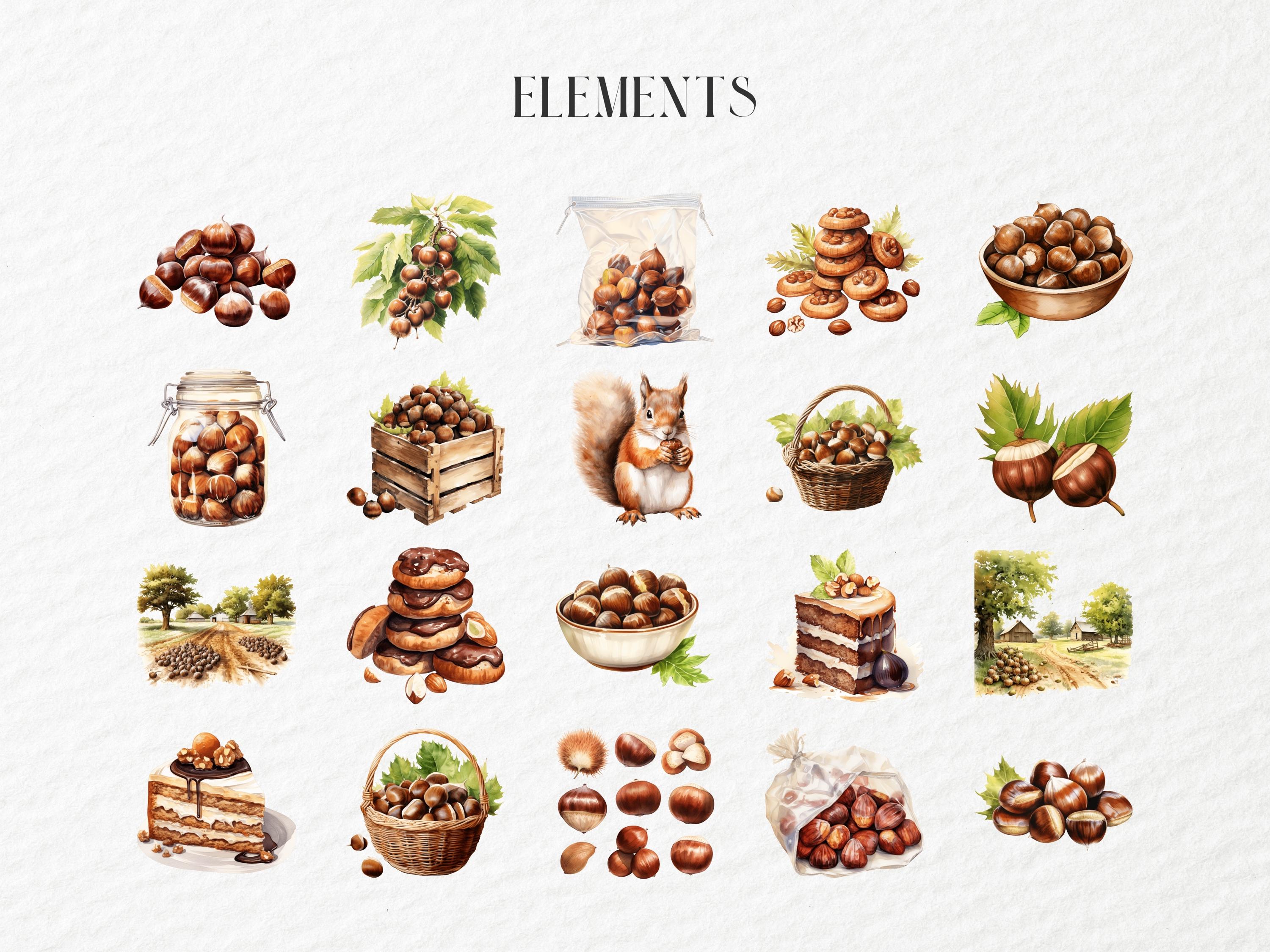 Watercolor Chestnuts Clipart, Nuts Legumes, Healthy Food, Midday Snack ...