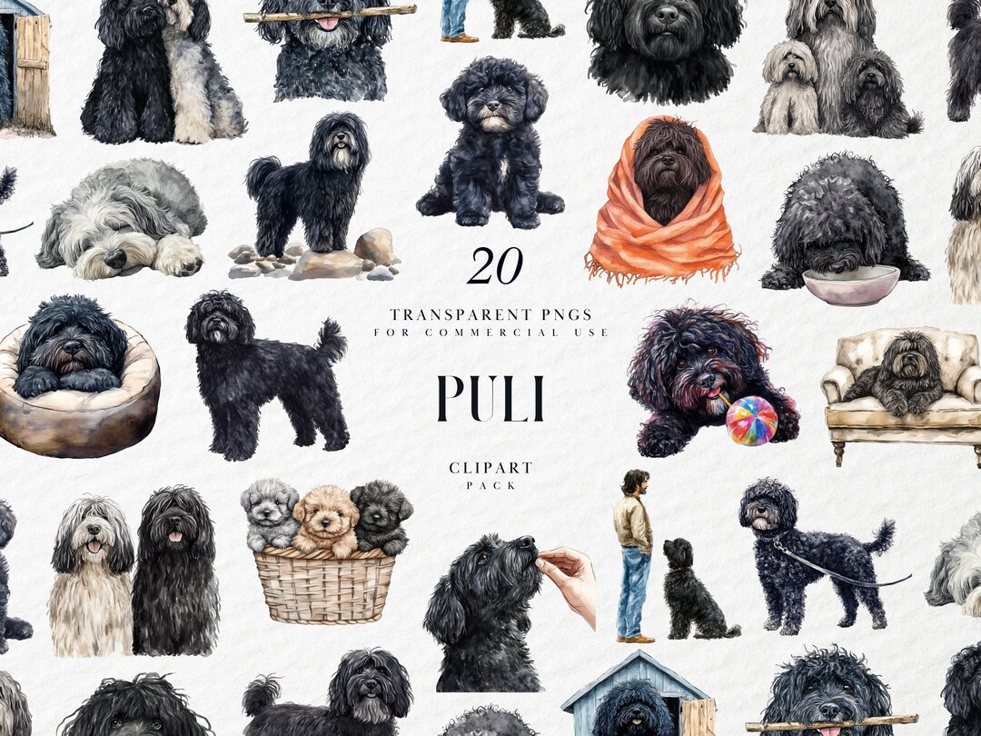 Watercolor Puli Dog Clipart, Fluffy Hungarian Herding Pet Decor, Mop ...