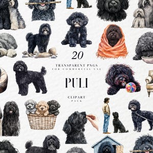 Watercolor Puli Dog Clipart, Fluffy Hungarian Herding Pet Decor, Mop ...