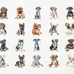 Watercolor Puppies Clipart, Cute Puppy Dogs Clipart, Dog Breeds, Home ...