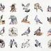 Watercolor Common Pigeon Clipart, Flying Common Pigeons Clipart, Pigeon ...