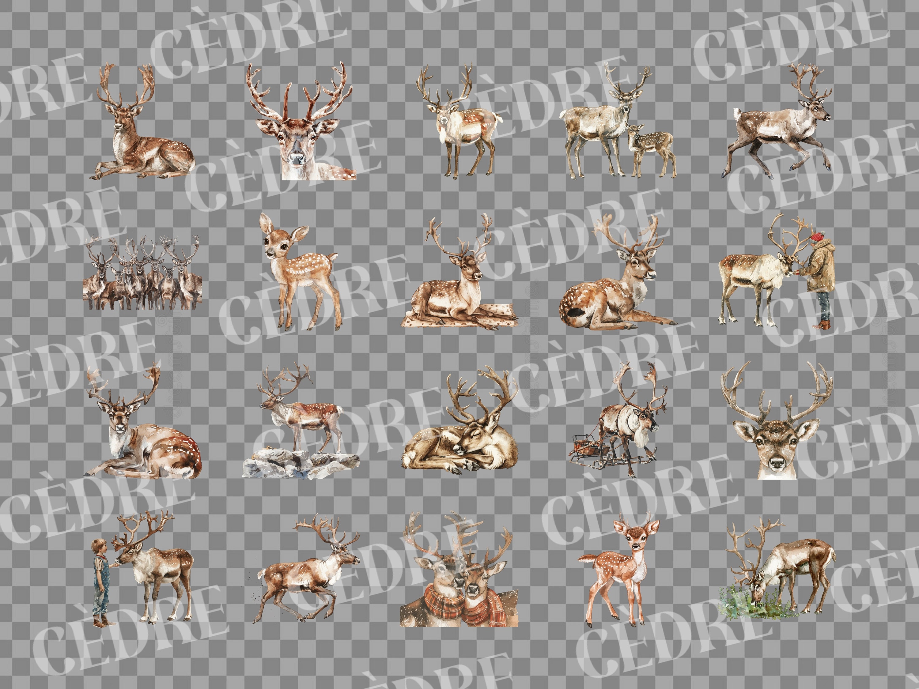 Watercolor Realistic Reindeer Clipart, Reindeers Clipart, Arctic ...