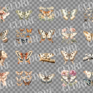 Watercolor Pastel Moth Clipart, Flying Pastel Moths Clipart, Woodland ...