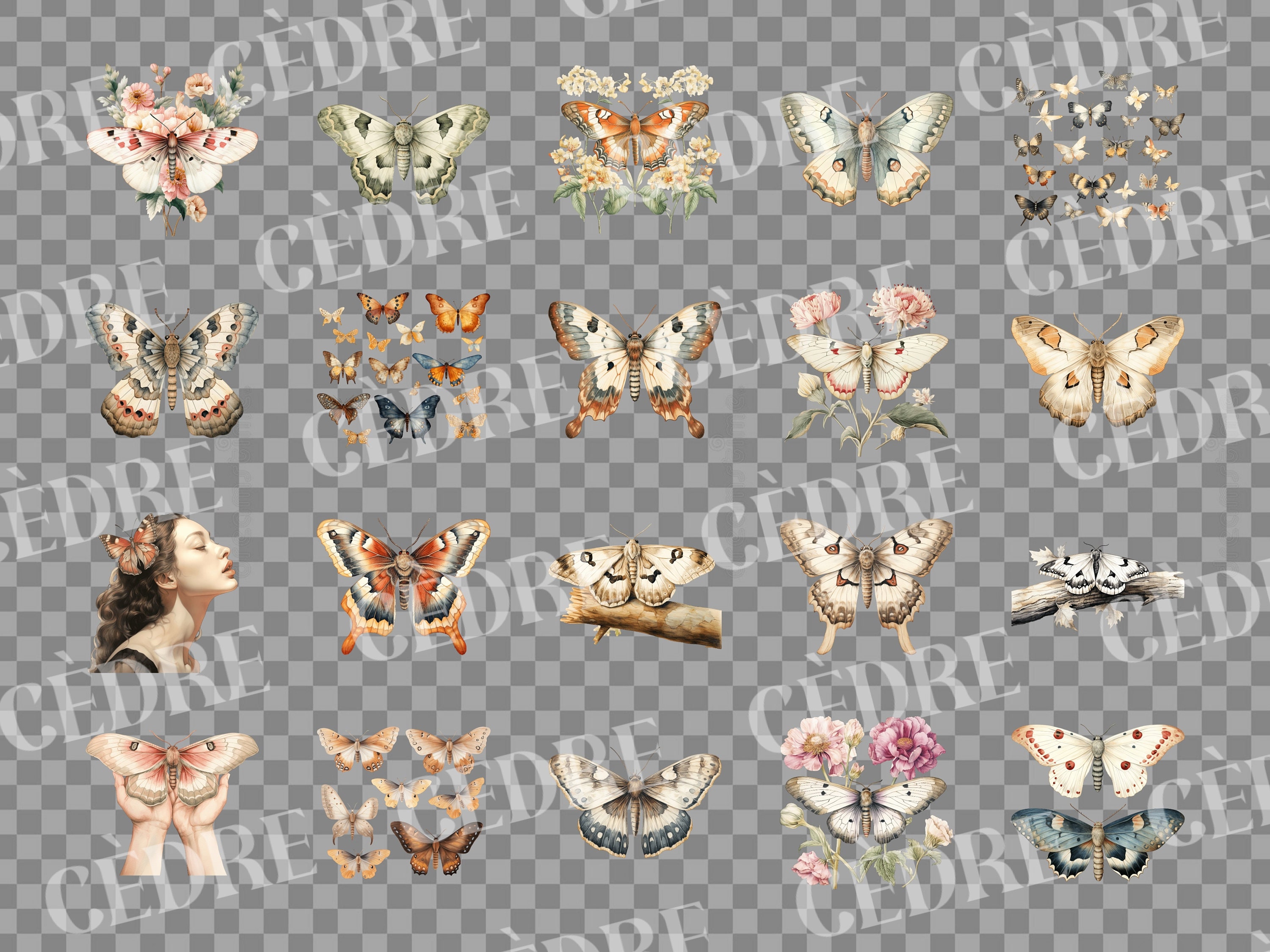 Watercolor Pastel Moth Clipart, Flying Pastel Moths Clipart, Woodland ...