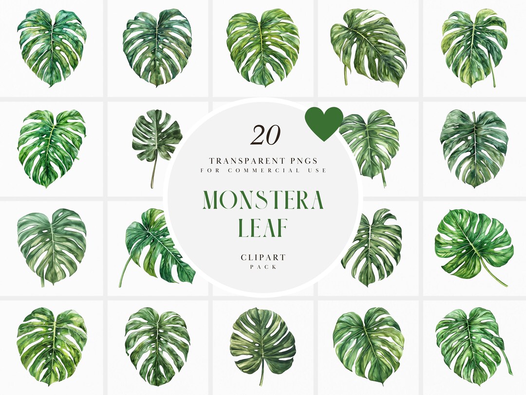 Watercolor Monstera Tree Clipart, Green Monstera Leaves Clipart, Tree ...