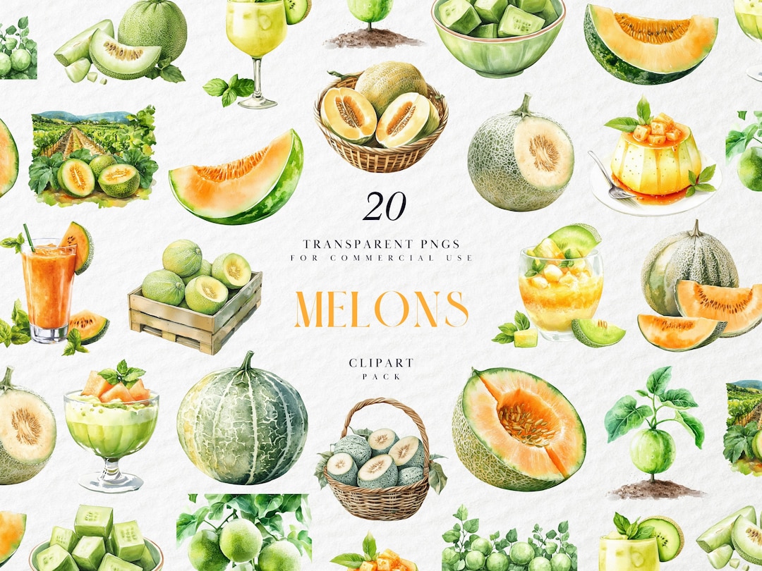 Watercolor Melons Clipart, Juicy Summer Fruits, Cantaloupe, Fruity ...