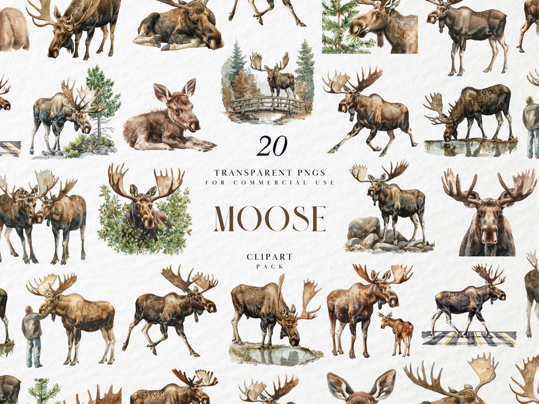 Watercolor Moose Clipart, Realistic Antlered Forest Animal, Woodland ...