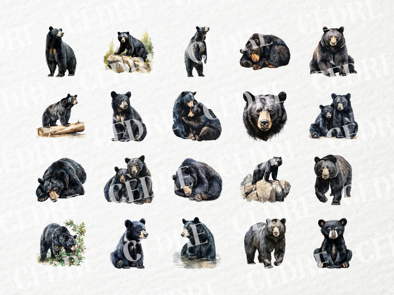 Watercolor Black Bear Clipart, Forest Black Bears Clipart, Realistic ...