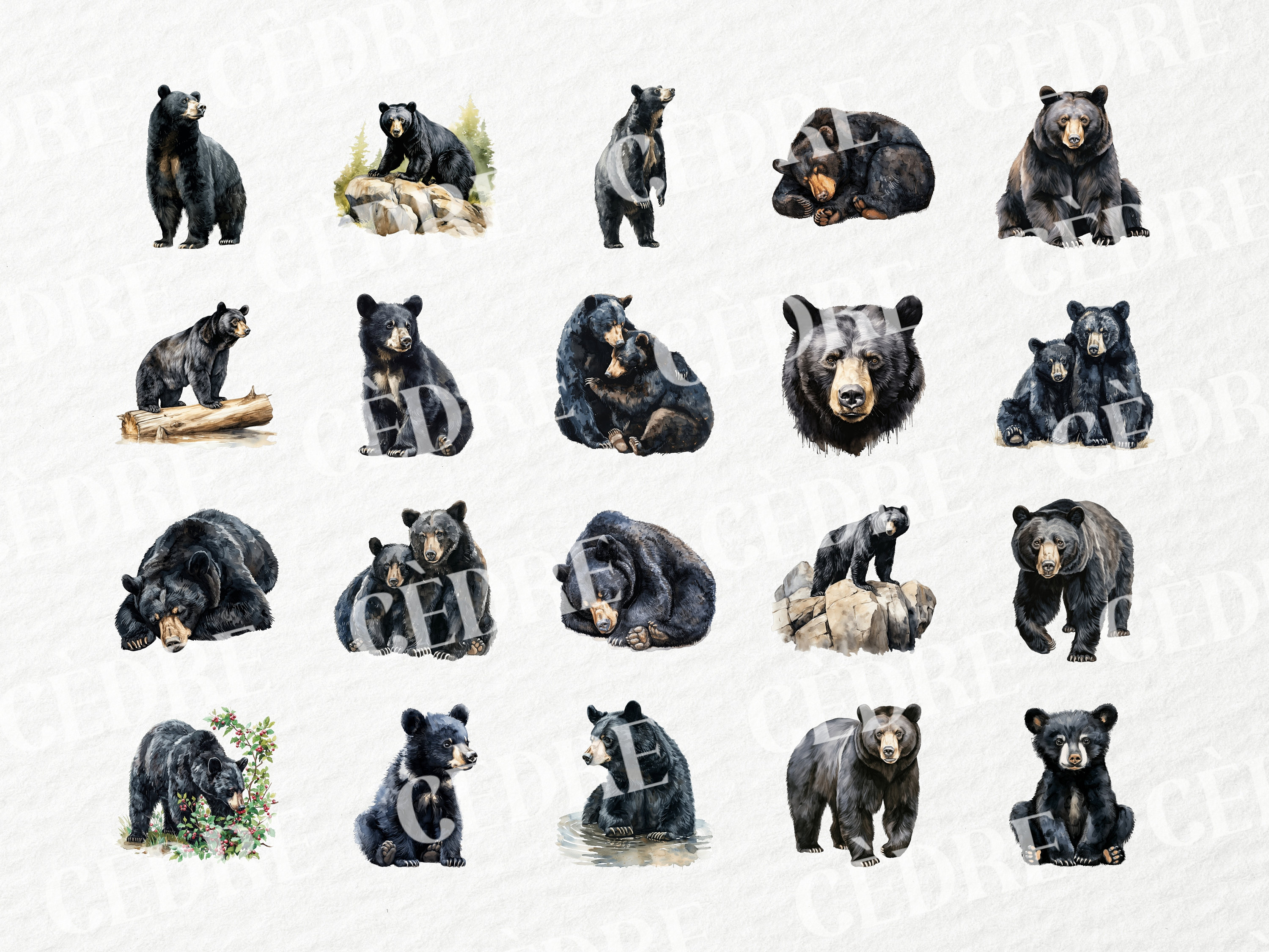 Watercolor Black Bear Clipart, Forest Black Bears Clipart, Realistic ...