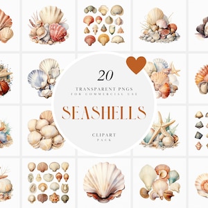 Watercolor Seashells Clipart, Mollusk Shellfish Clipart, Beach Starfish ...