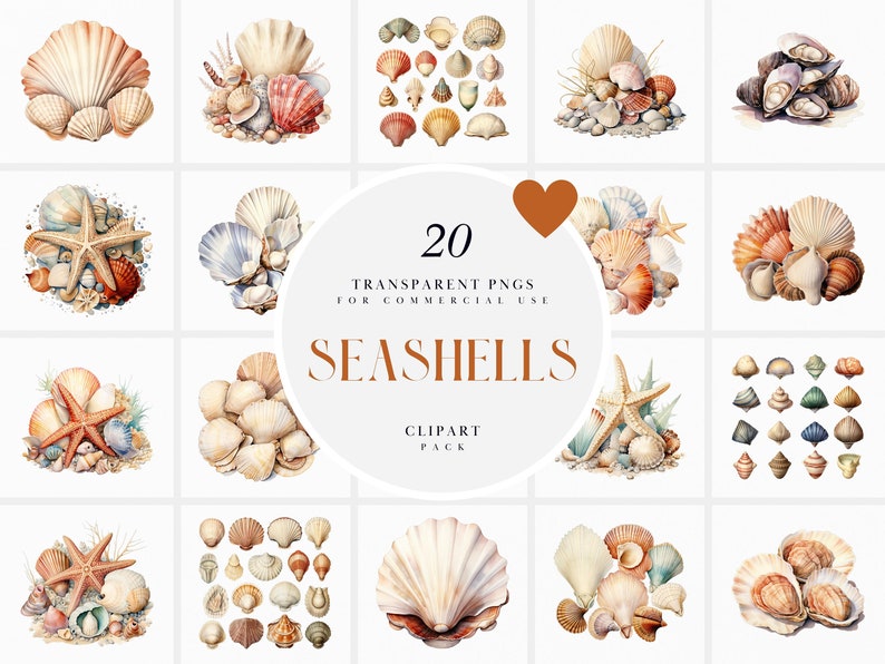 Watercolor Seashells Clipart, Mollusk Shellfish Clipart, Beach Starfish ...