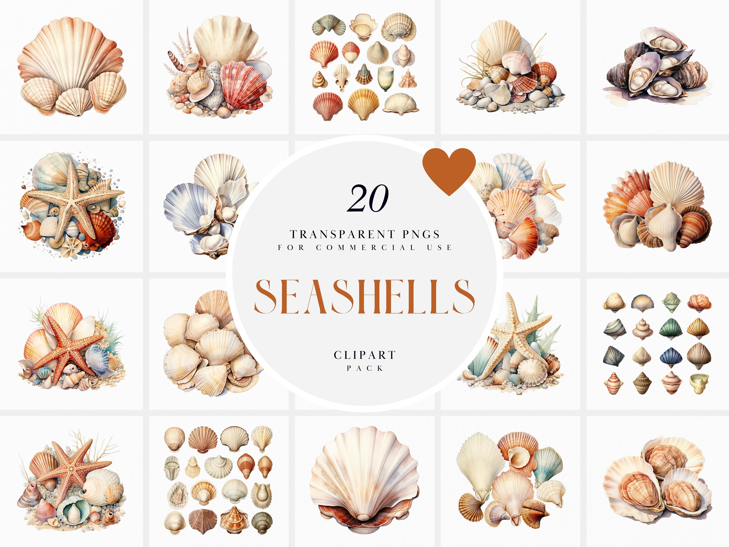 Watercolor Seashells Clipart, Mollusk Shellfish Clipart, Beach Starfish ...