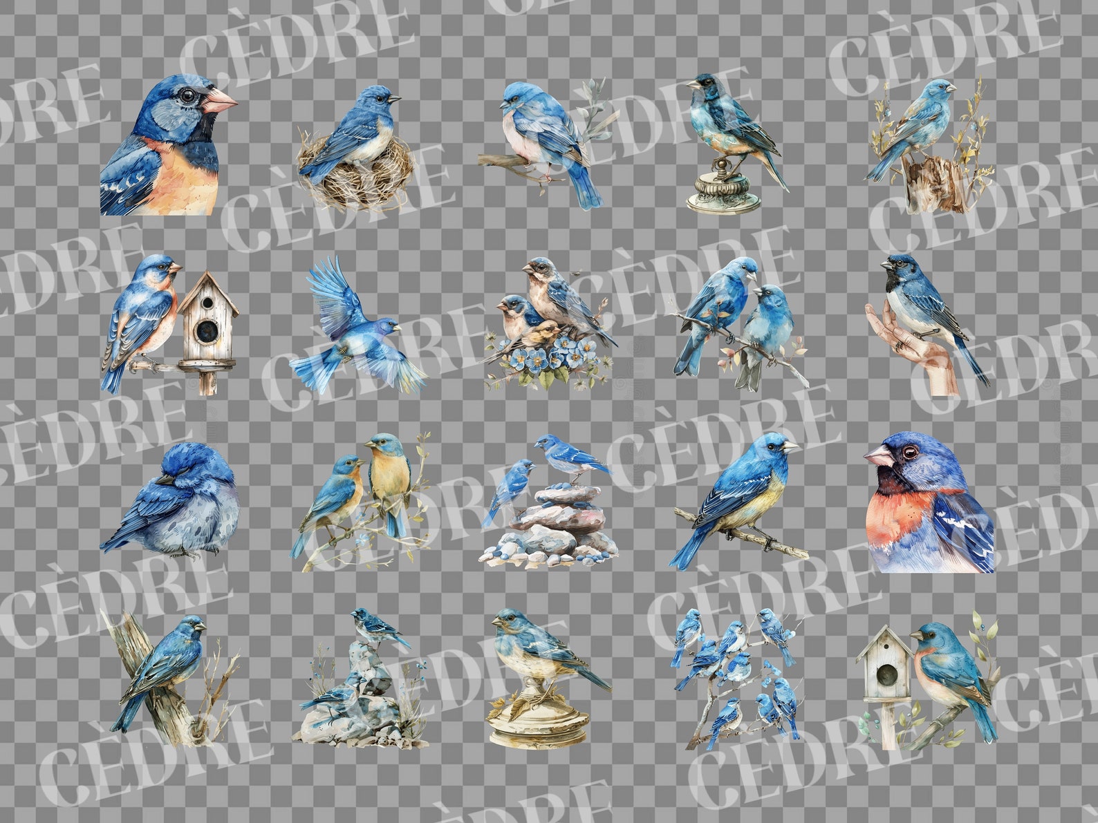 Watercolor Blue Finch Clipart, Flying Blue Finches Clipart, Chirping ...