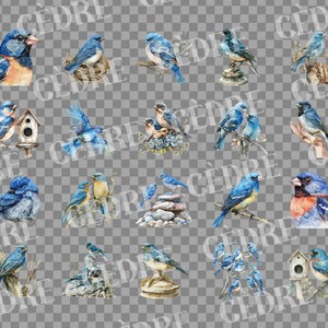 Watercolor Blue Finch Clipart, Flying Blue Finches Clipart, Chirping ...