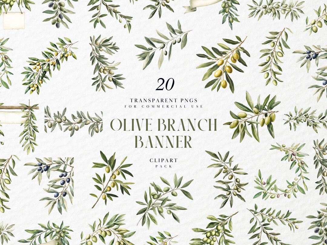 Watercolor Olive Branch Banner Clipart, Greenery Vine Border, Wedding ...