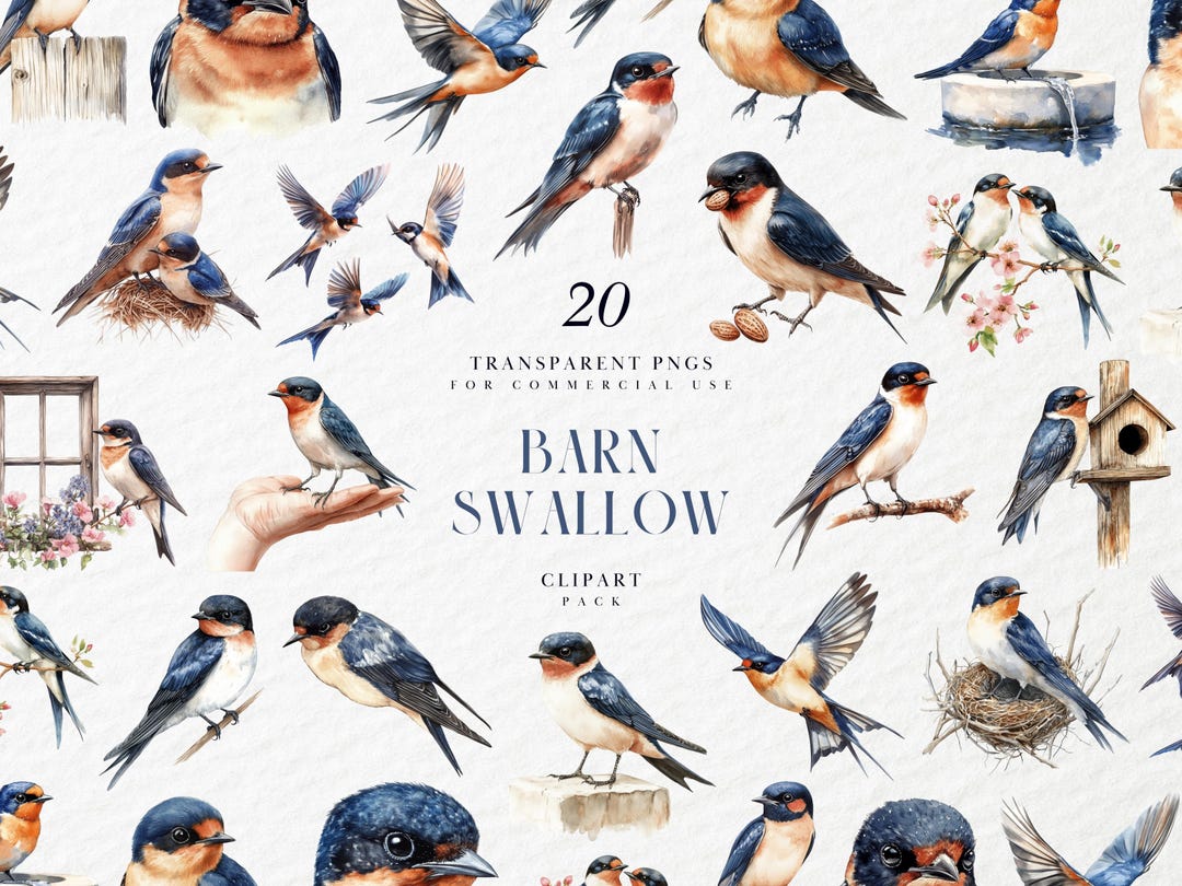 Watercolor Barn Swallow Clipart, European Flying Bird for Scrapbooking ...