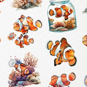 Watercolor Clown Fish Clipart, Finding Nemo Clipart, Striped Orange ...