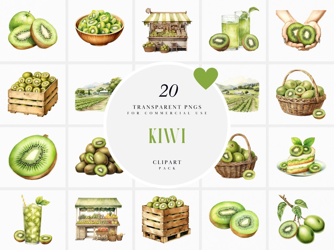Watercolor Kiwi Clipart, Green Kiwi Fruit Clipart, Refreshing Summer ...