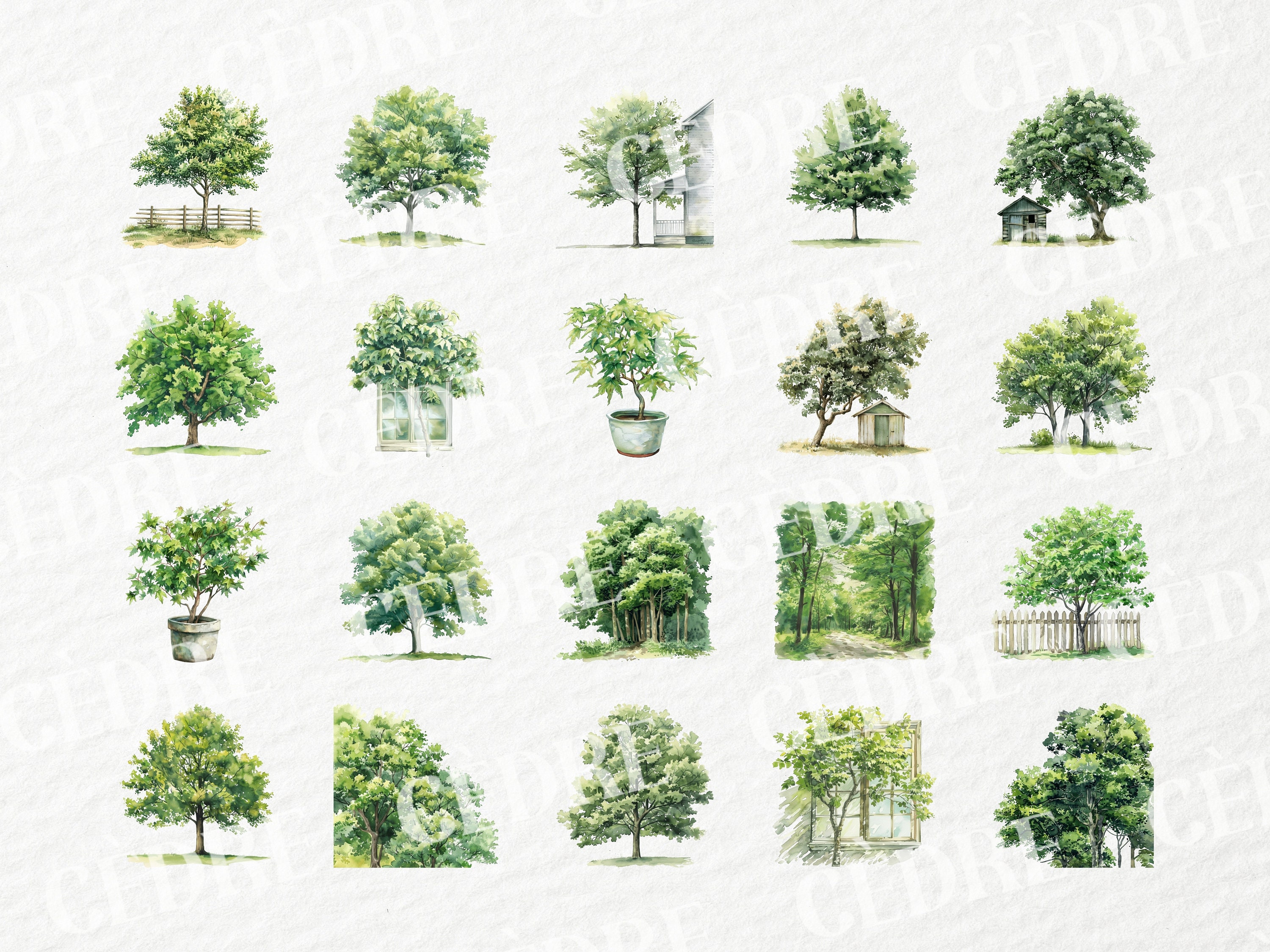 Watercolor Maple Tree Clipart, Green Maple Trees Clipart, Forest ...