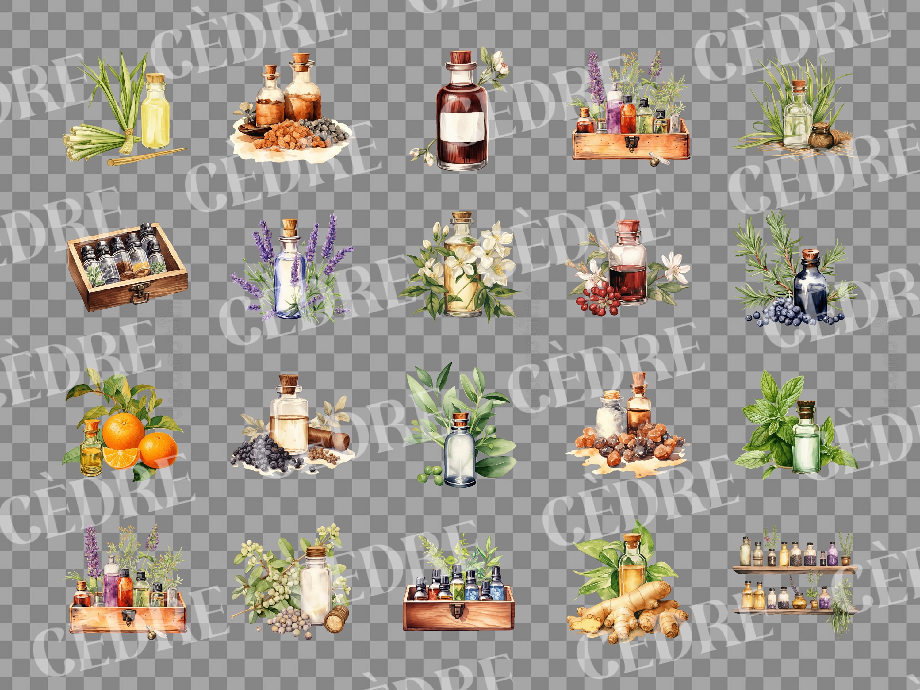 Watercolor Essential Oils Clipart, Essential Oil Clipart, Diffuser Oil ...