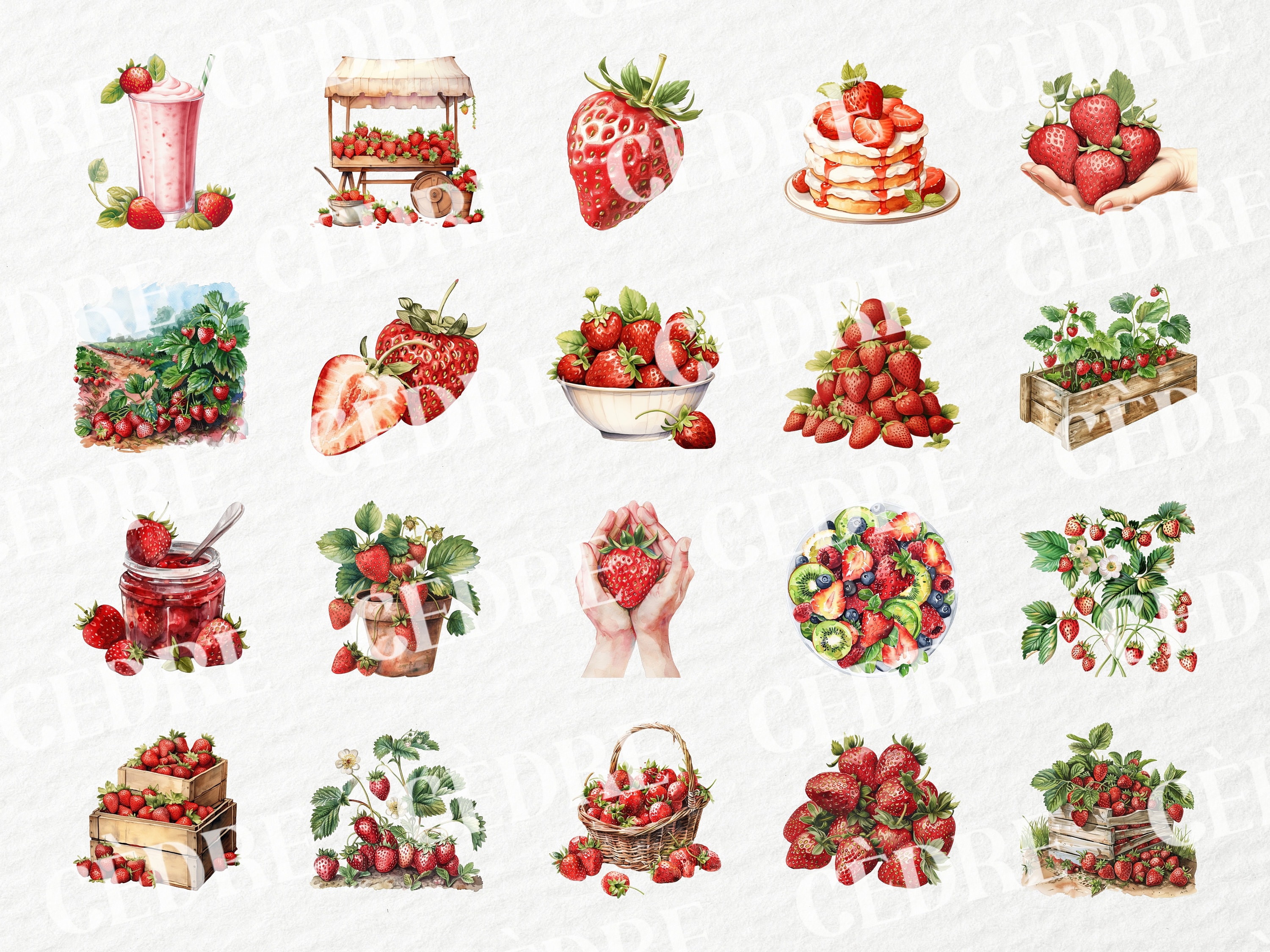 Watercolor Strawberry Clipart, Watercolor Strawberries Clipart ...