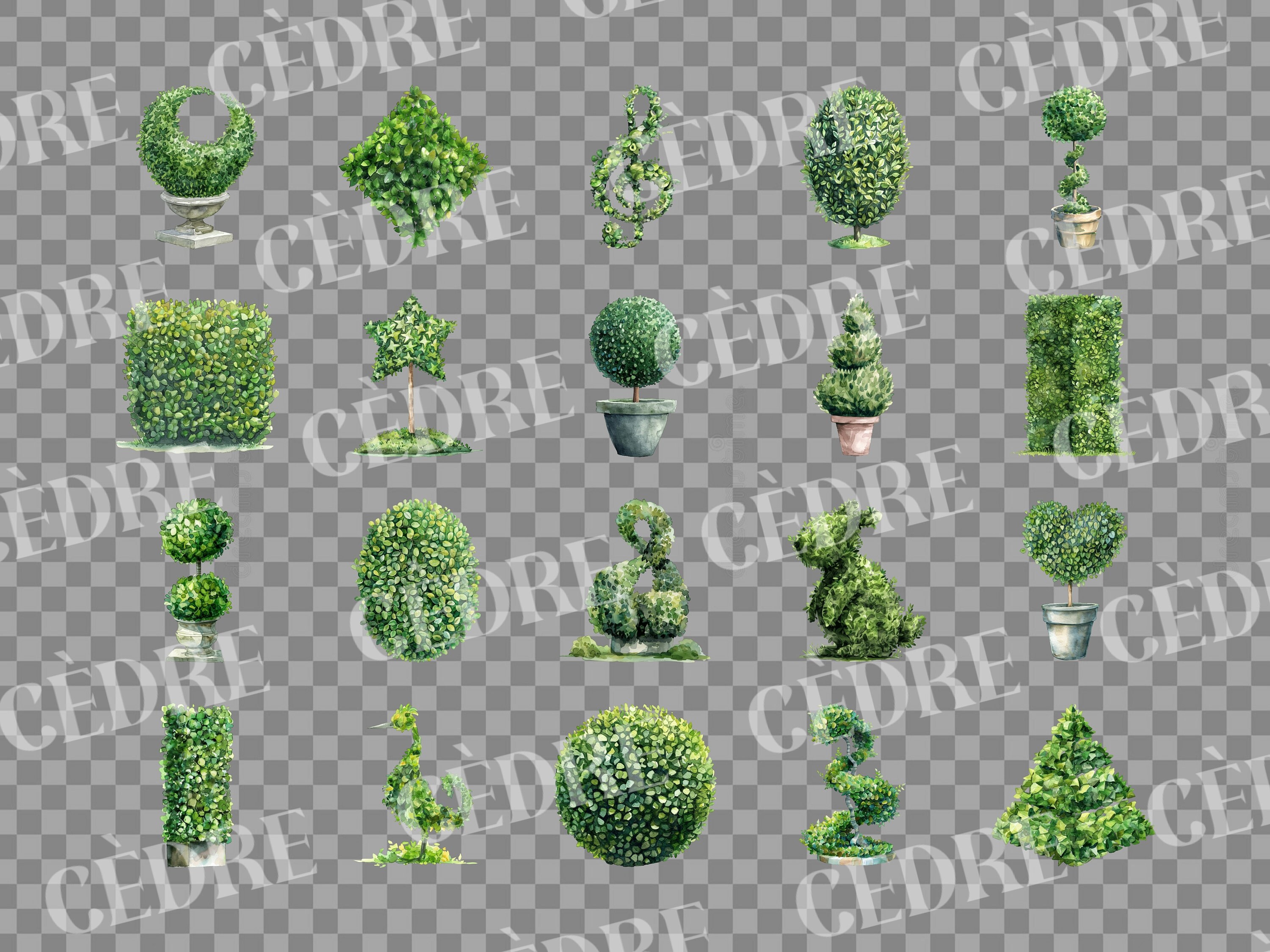 Watercolor Topiary Clipart, Potted Topiary Planter Clipart, Garden ...
