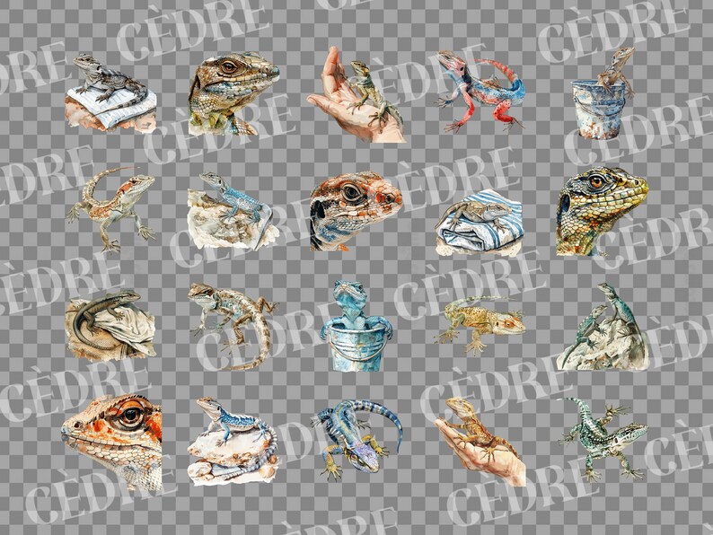 Watercolor Wall Lizard Clipart, Realistic Lizards, Pet House Lizard ...