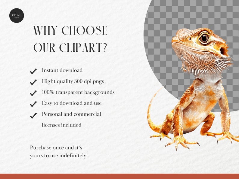 Watercolor Bearded Dragon Clipart, Pogona, Beardies, Lizard, Animal ...