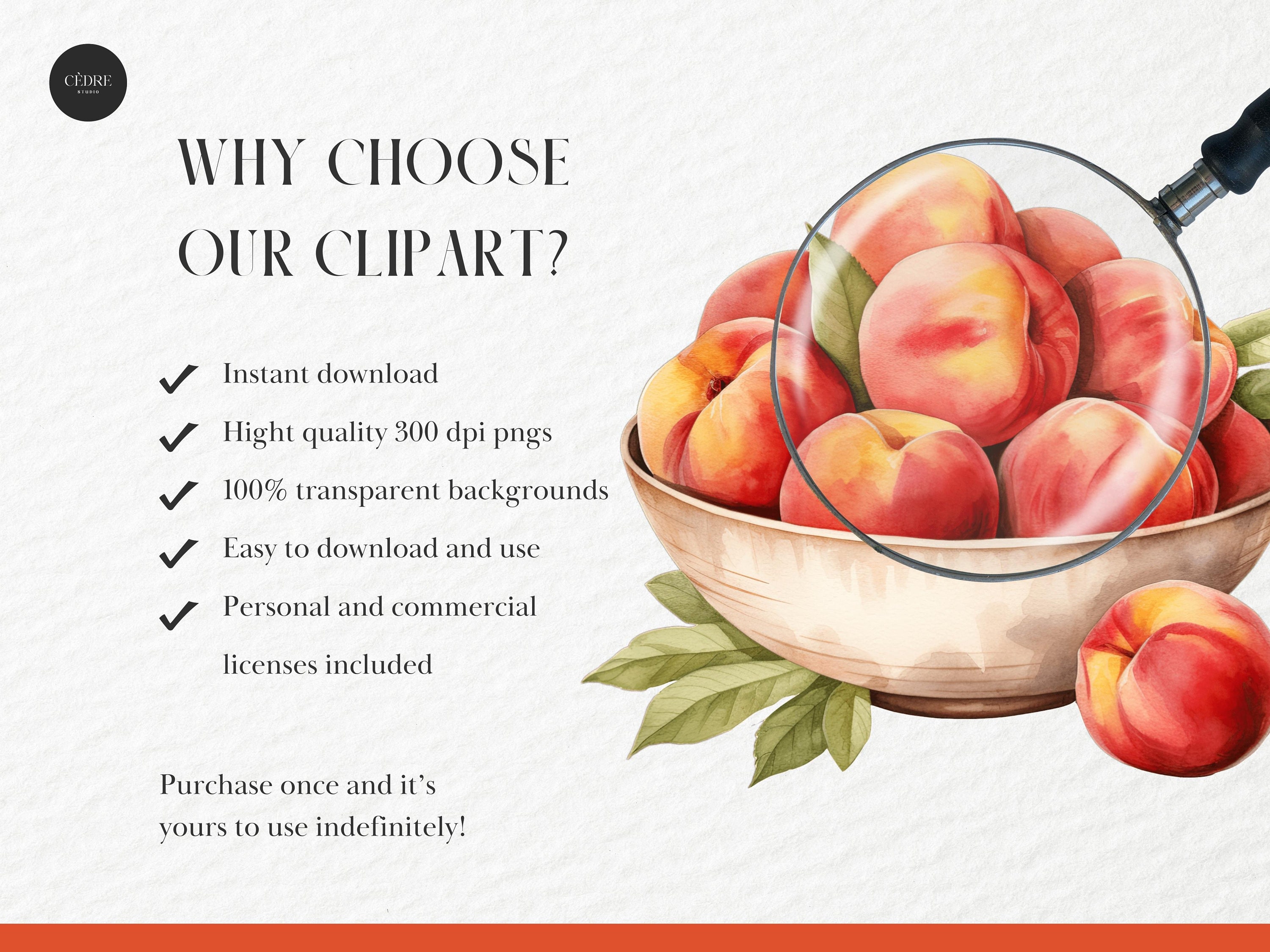 Watercolor Peaches Clipart, Peach Clipart, Fresh Peach Fruit Clipart ...