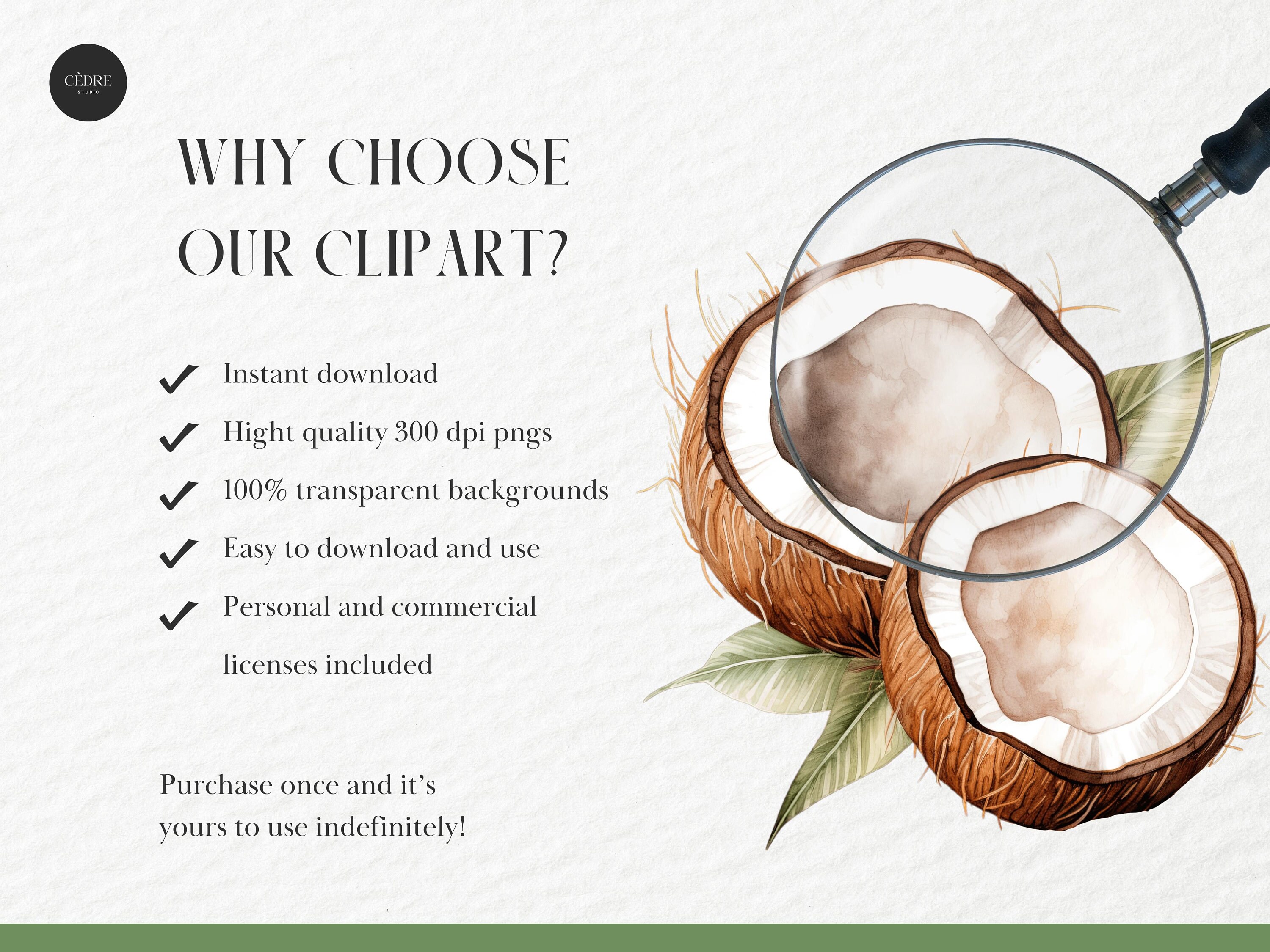 Watercolor Coconuts Clipart, Refreshing Coconut Clipart, Tropical ...