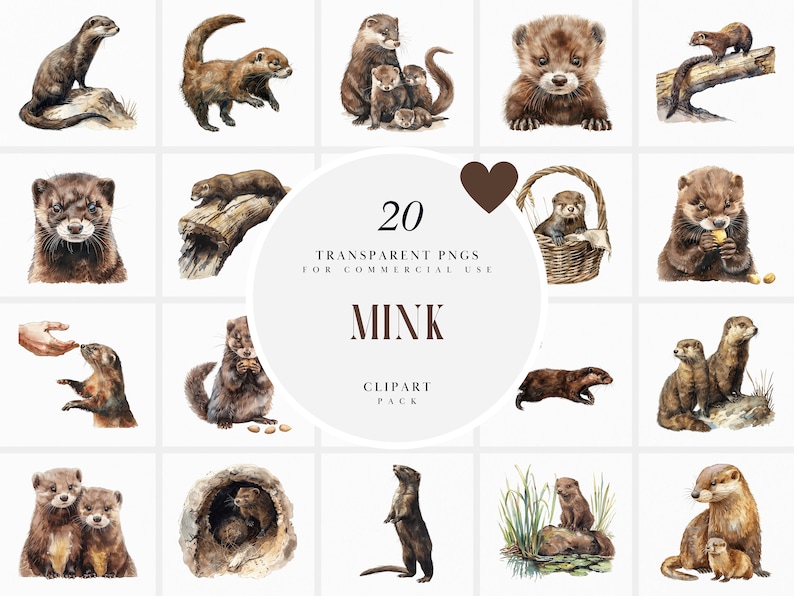 Watercolor Mink Clipart, Minks Clipart, Pet Cute Baby Minks, American ...