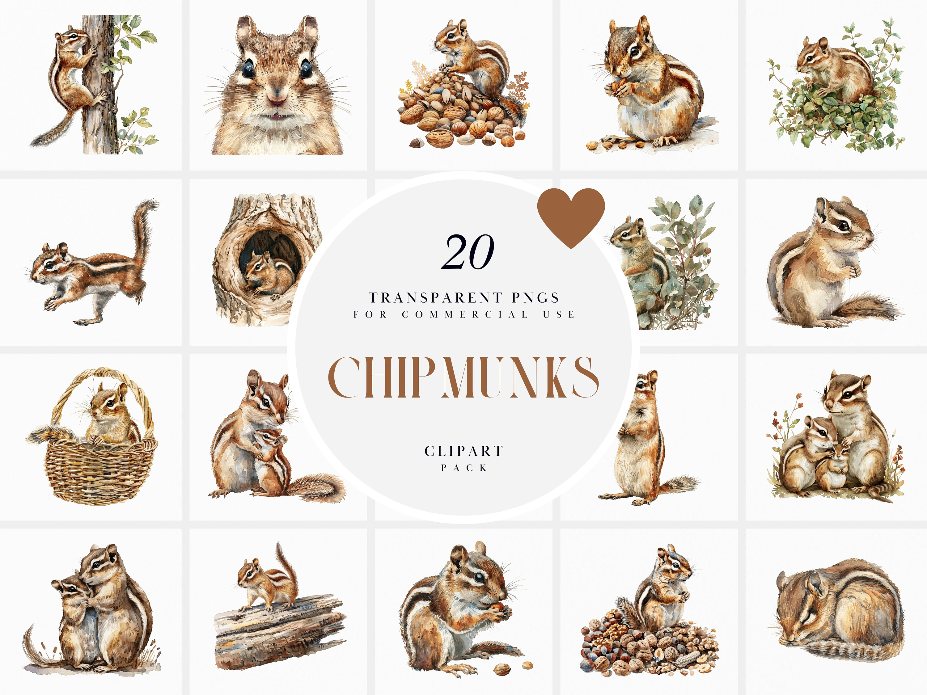 Watercolor Chipmunk Clipart, Woodland Chipmunks Clipart, Cute Baby ...